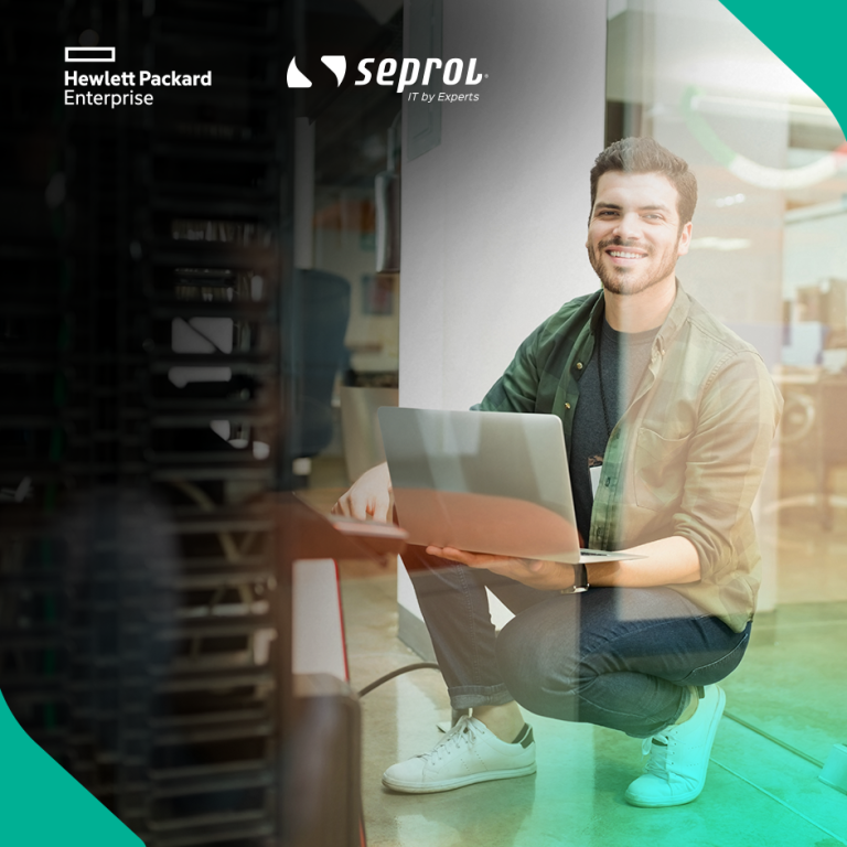 Seprol – Serviços em tecnologia da Informação